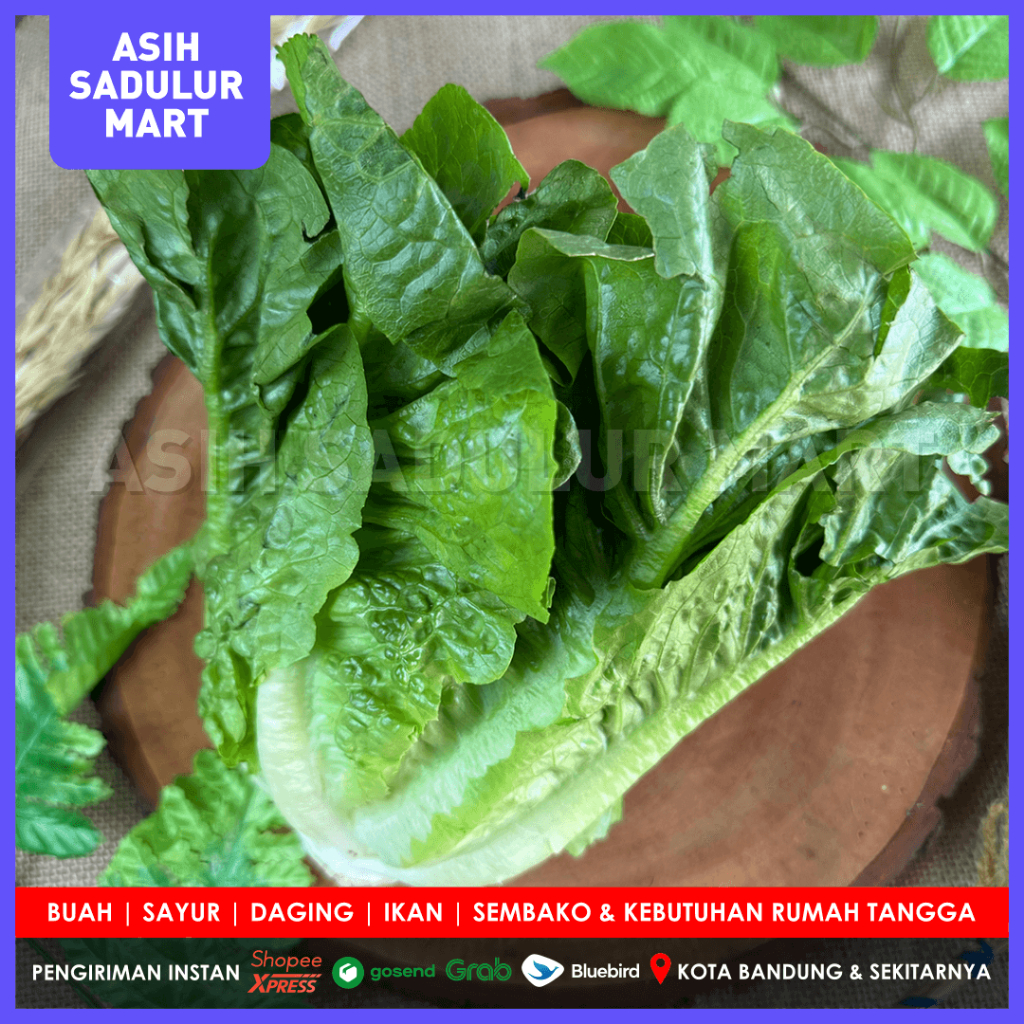 Jual Selada Romaine 500g Sayur Segar Bandung | Sayuran Asih Sadulur ...