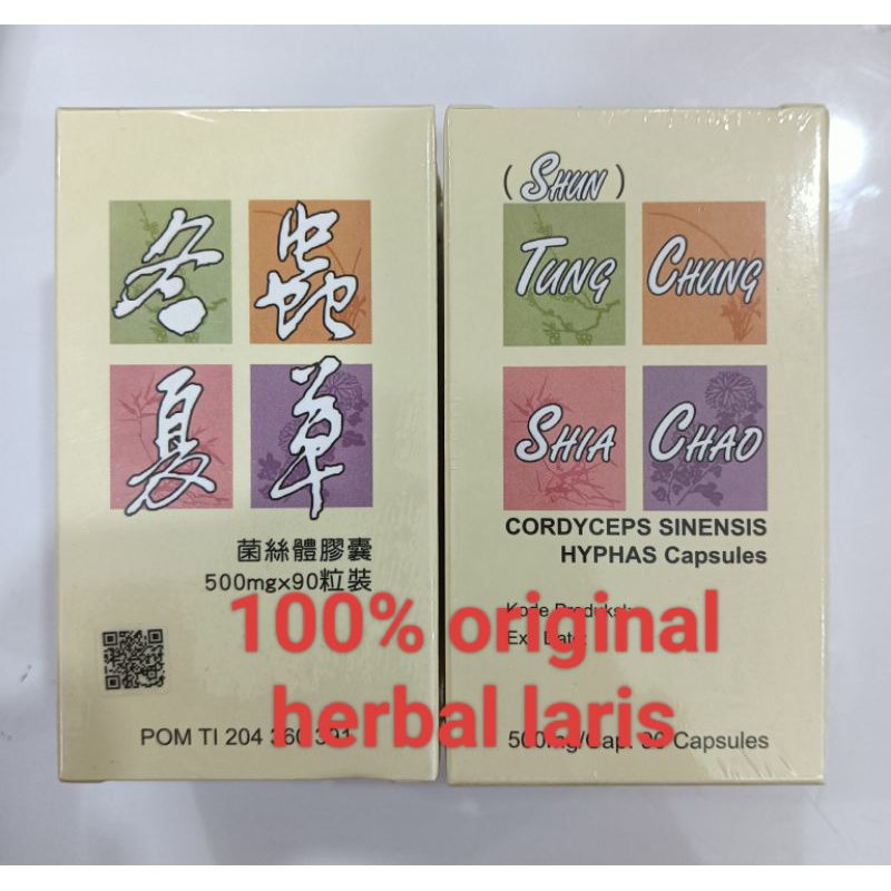 Jual (shun) tung chung shia chao/cordyceps sinensis hyphas capsules ...