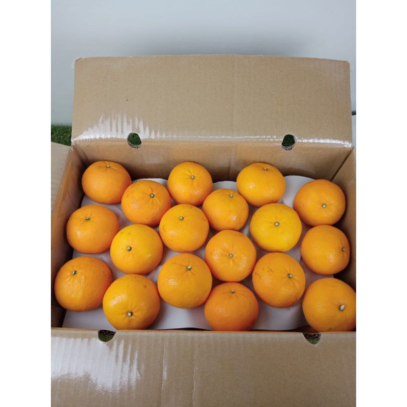 Jual Jeruk Honey Murcot 1kg | Shopee Indonesia