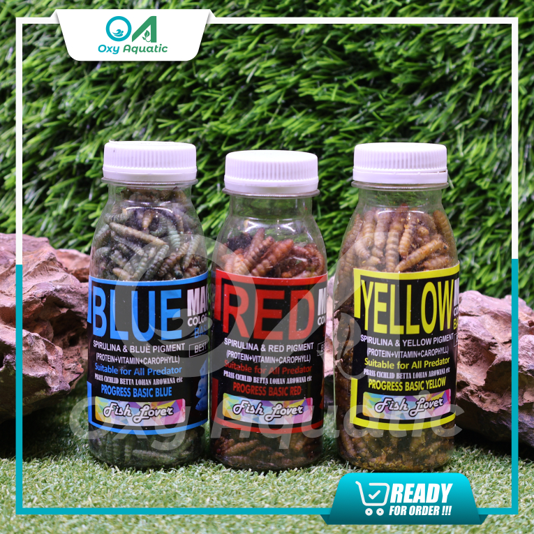 Jual Makanan Ikan Predator Maggot Kering FISH LOVER RED BLUE YELLOW ...