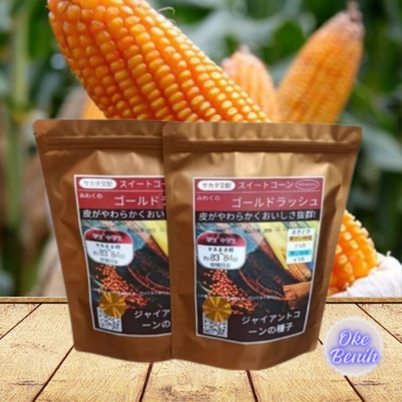 Jual PAKET 2 KG KEMASAN PREMIUM BENIH JAGUNG JEPANG RAKSASA | Shopee ...