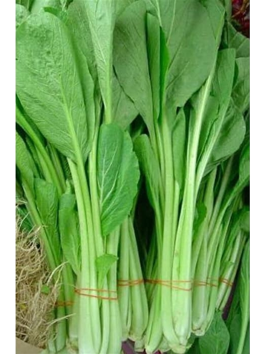 Jual Sawi Hijau/Caisim 1 Ikat (Sayur Maxx) | Shopee Indonesia