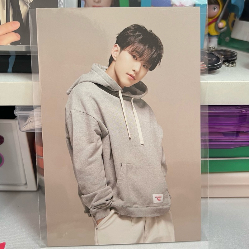 Jual hoshi postcard tamtam artist made collection by seventeen | Shopee ...