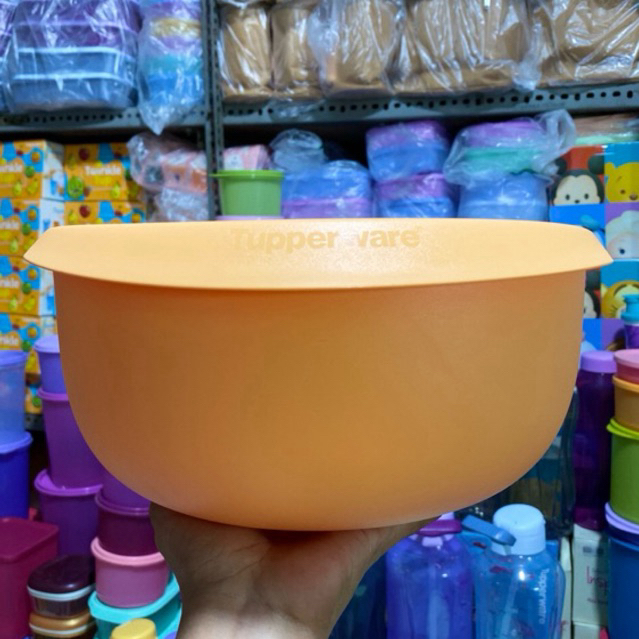 Jual BOWL ORIGINAL TUPPERWARE | Shopee Indonesia