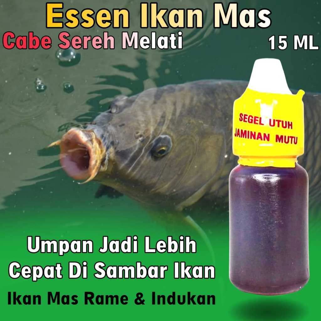 Jual Essen Ikan Mas Paling Gacor, Essen Ikan Mas Oplosan, Essen Ikan ...