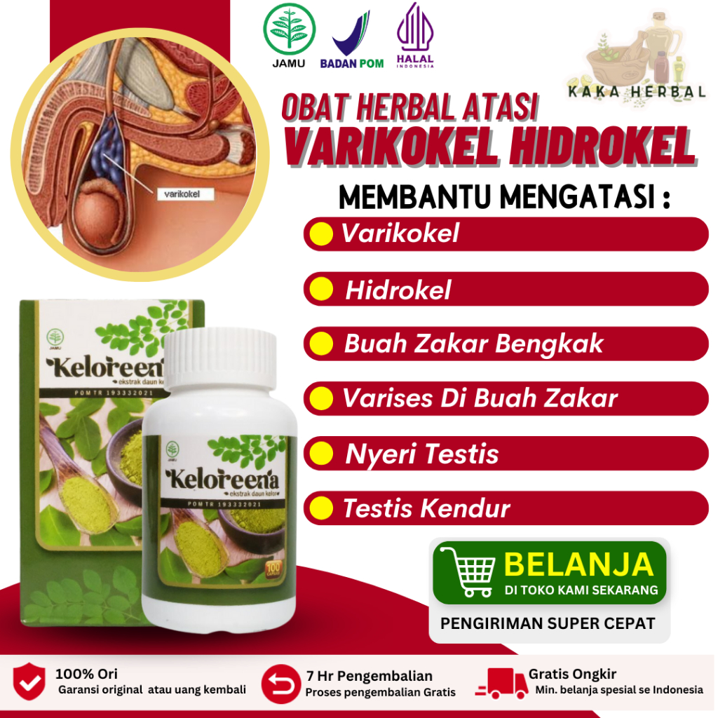 Jual Obat Varikokel Hidrokokel, Obat Varikokel, Obat Sakit Buah Zakar ...