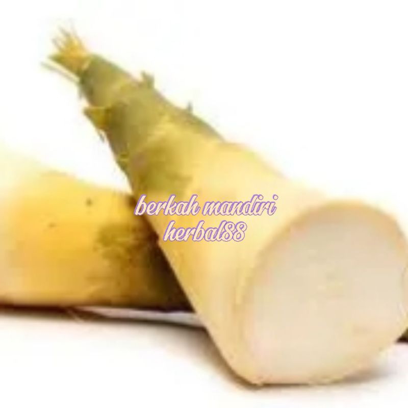 Jual rebung bambu segar/1kg | Shopee Indonesia