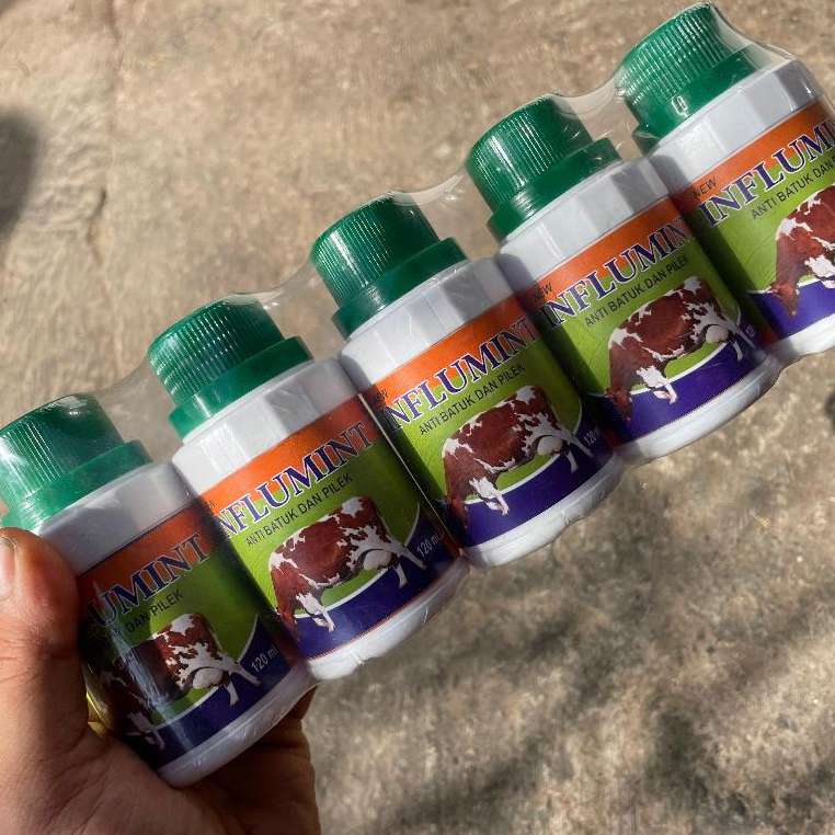 Jual INFLUMINT OBAT BATUK DAN FLU SAPI KAMBING DAN KERBAU REBUNG OBAT ...