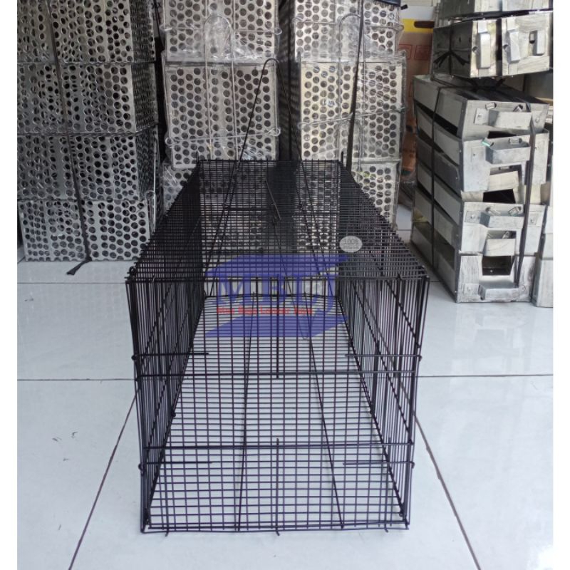 Jual PERANGKAP/ JEBAKAN MUSANG | Shopee Indonesia