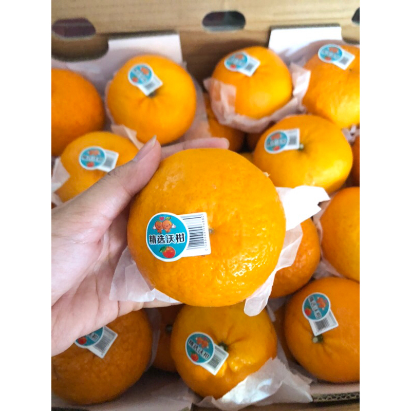 Jual Jeruk Wogan Fruit Paradise /kg | Shopee Indonesia