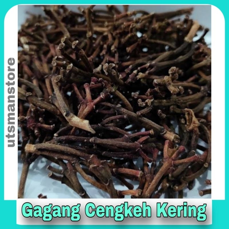 Jual Gagang Cengkeh Kering Asal Jawa Tengah / Clove / Tumbuhan Herbal ...