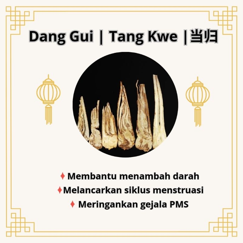 Jual Dang Gui [ 50 gr ] | Tang kwe |Angelica Sinensis | 当归 | Shopee ...