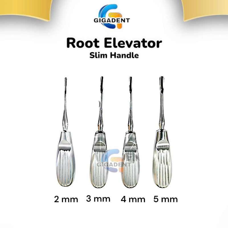 Jual DENTAL ROOT ELEVATOR / BEIN / LUXATOR SATUAN ALAT CABUT GIGI | Shopee Indonesia