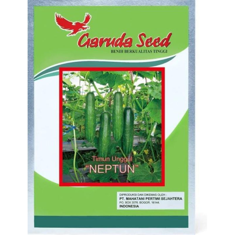 Jual Benih Biji Timun Unggul NEPTUN 1 pak isi 10 Gram(+-400 biji)Produk ...