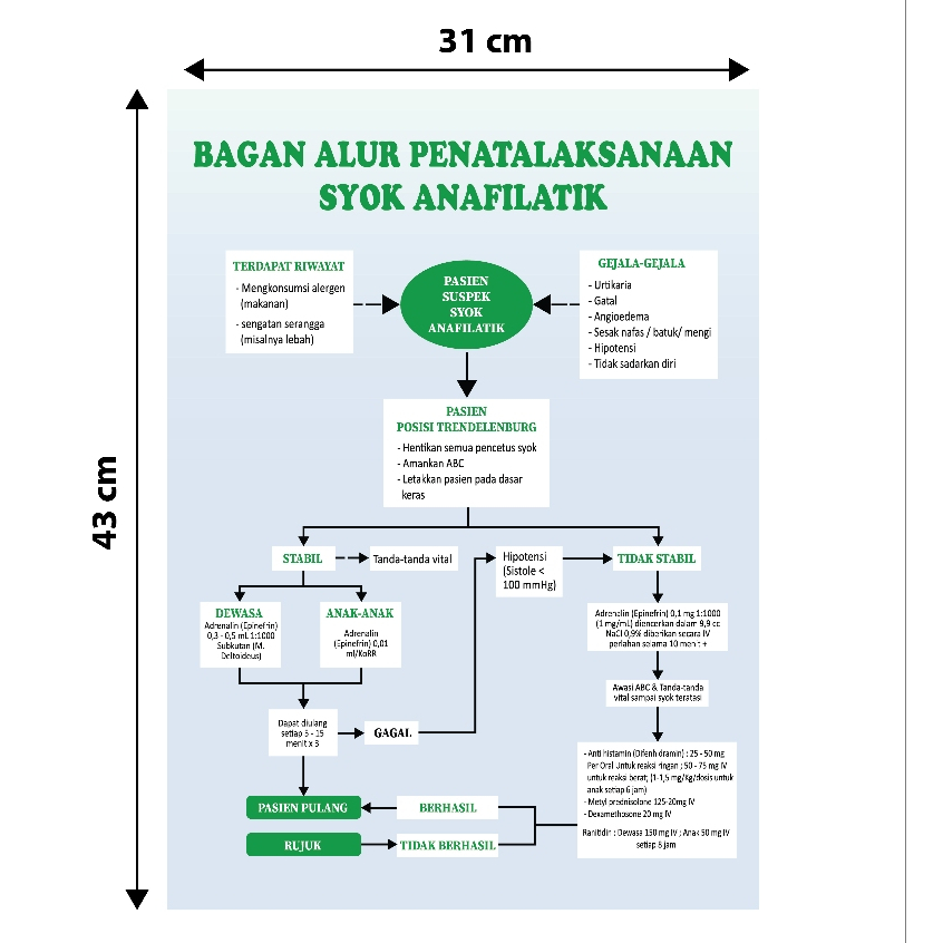 Jual Poster Kesehatan Bagan Alur Penatalaksanaan Syok Anafilaktik Uk ...