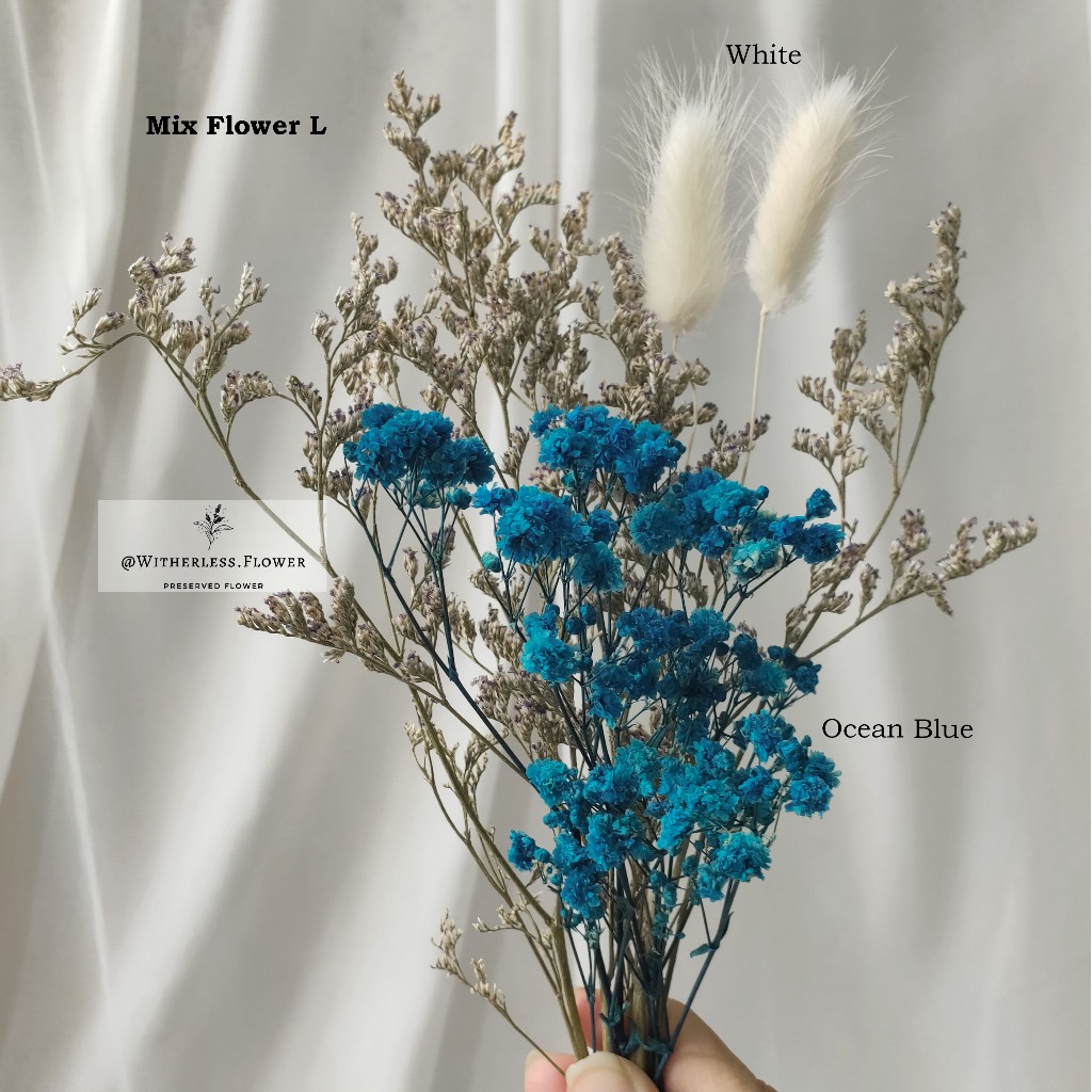 Jual Mix Dried & Preserved Flower Mini / Dried Flower Awetan / Bunga ...