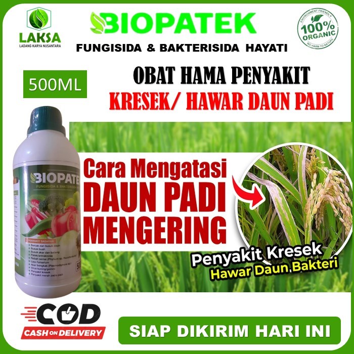 Jual (PUPUK ORGANIK) pupuk atasi daun padi menguning, kresek daun, layu ... Jual (PUPUK ORGANIK) pupuk atasi daun padi menguning, kresek daun, layu ...