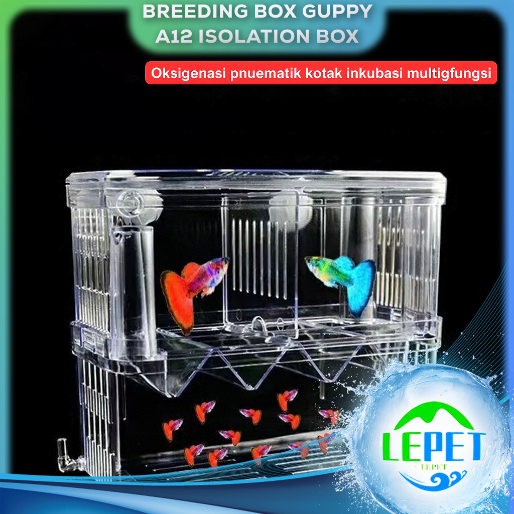 Jual LEPET Breeding Box Guppy / Isolation Box / Karantina ikan | Shopee ...