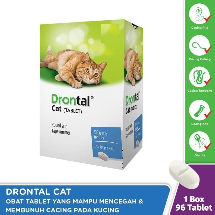 Jual Drontal CAT ELANCO 1 BOX (96 Tablet) Obat Cacing Kucing (96 Butir) | Shopee Indonesia