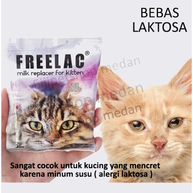 Jual Freelac susu untuk anak kucing susu untuk anak kucing baru lahir ...