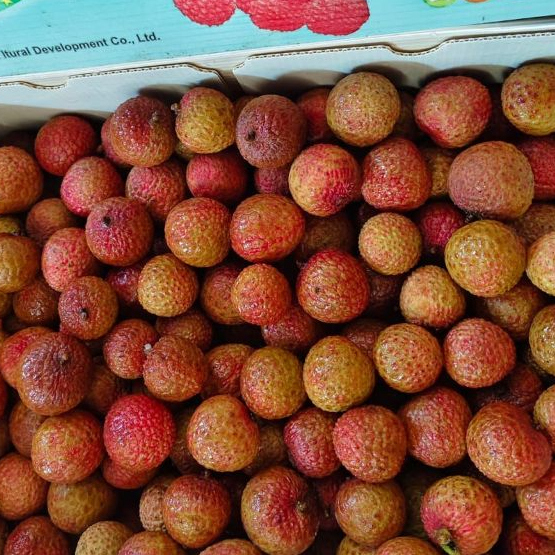 Jual Buah Leci Lychee Merah Import Segar | Shopee Indonesia