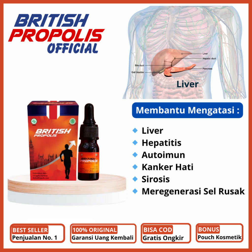 Jual British Propolis - Obat Liver Perut Bengkak Liver Ringan Dan ...