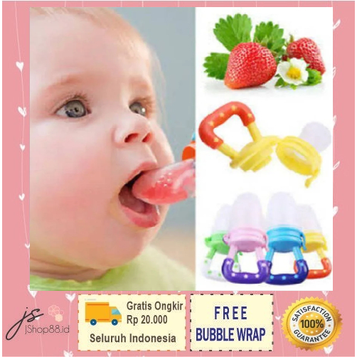 Jual EMPENG BUAH BABY /KOMPENG BUAH/FRUIT PACIFIER DOT BAYI | Shopee ...