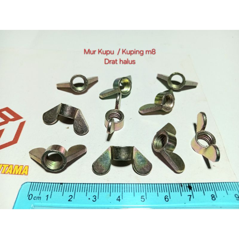 Jual 10 biji Mur Kupu / kuping M8 Baut Kunci 12 an | Shopee Indonesia