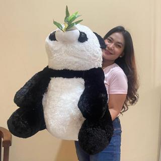 Jual Boneka panda duduk jumbo panda duduk ukuran jumbo 65cm | Shopee ...