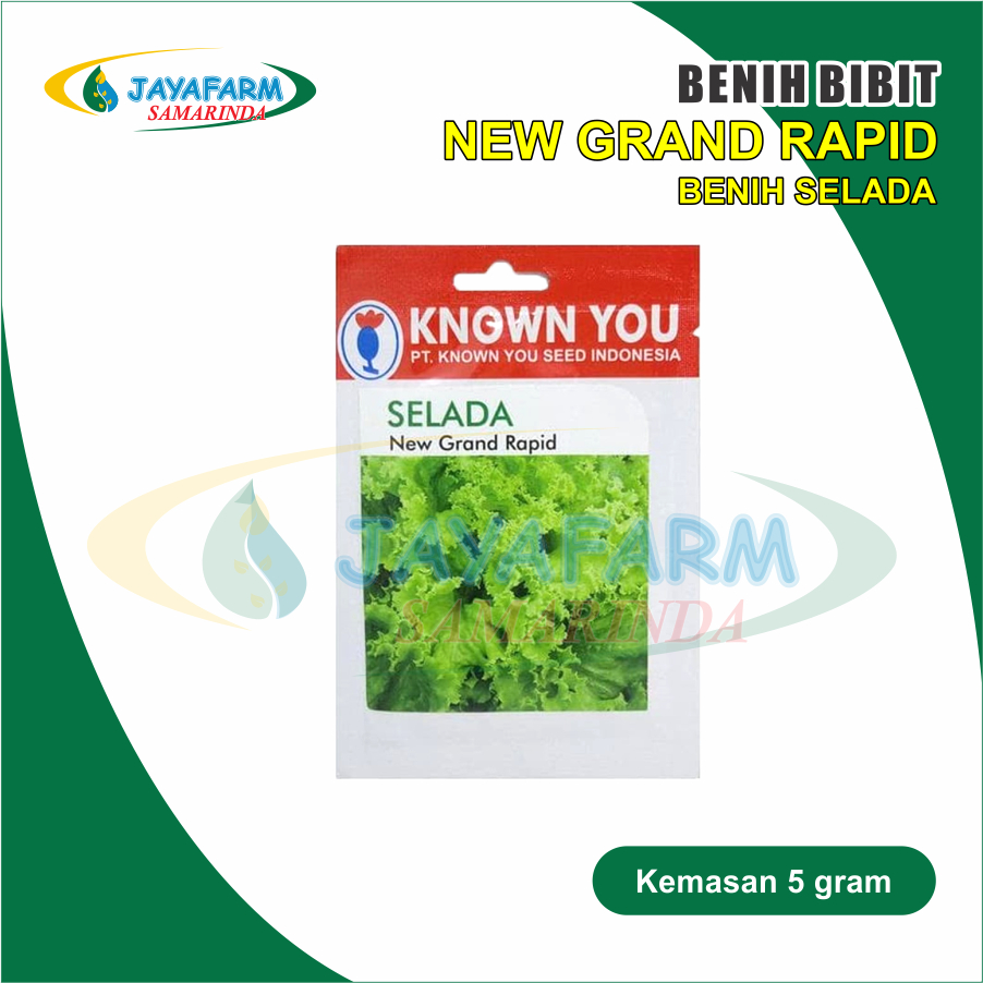Jual Benih Bibit Tanaman Sayur Selada New Grand Rapid 5 Gram - Known You Seed | Shopee Indonesia
