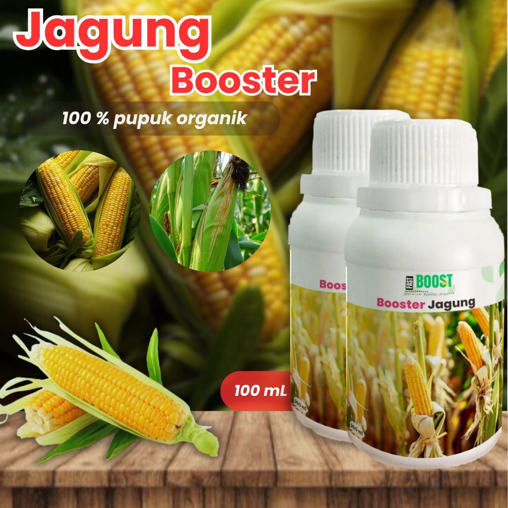 Jual Pupuk Booster Jagung (100ml) I pupuk organik pelebat jagung I pupuk organik perangsang ...