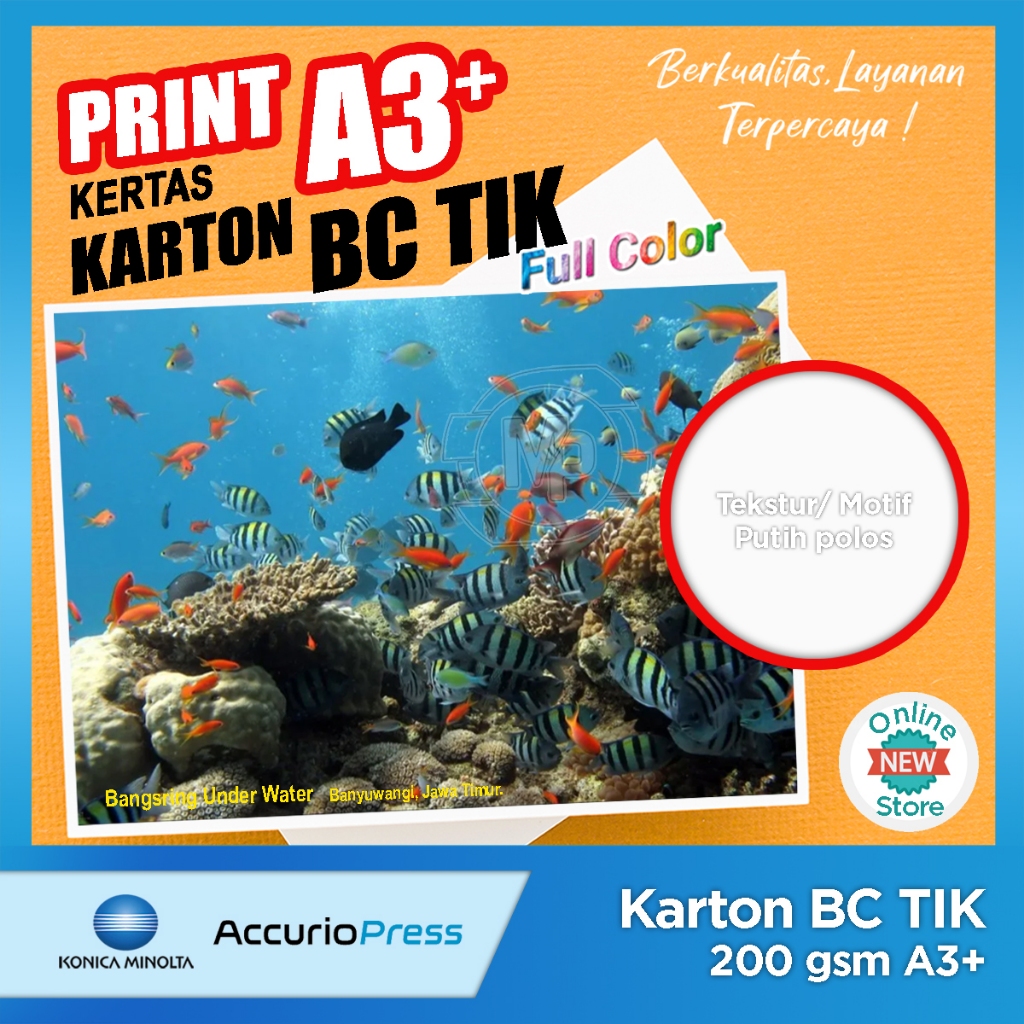 Jual Print Kertas Karton BC TIK A3+ (BISA GROSIR) / BC Putih Full Warna ...