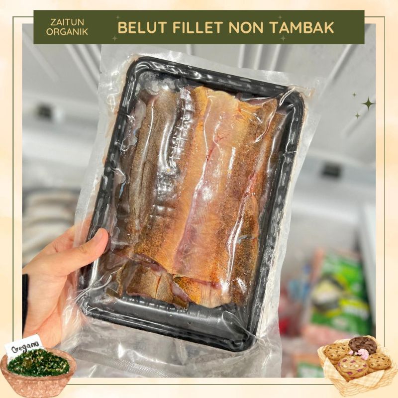 Jual Fillet BELUT non tambak | Fillet Golden Patin | Fillet Ikan salmon ...