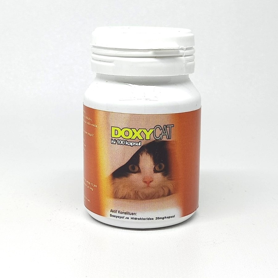 Jual Doxy Cat Doxycat Im Organic Obat Flu Kucing 1 kapsul | Shopee ...