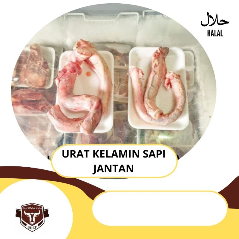 Jual termurah urat torpedo sapi bagian panjang nya 1kg | Shopee Indonesia