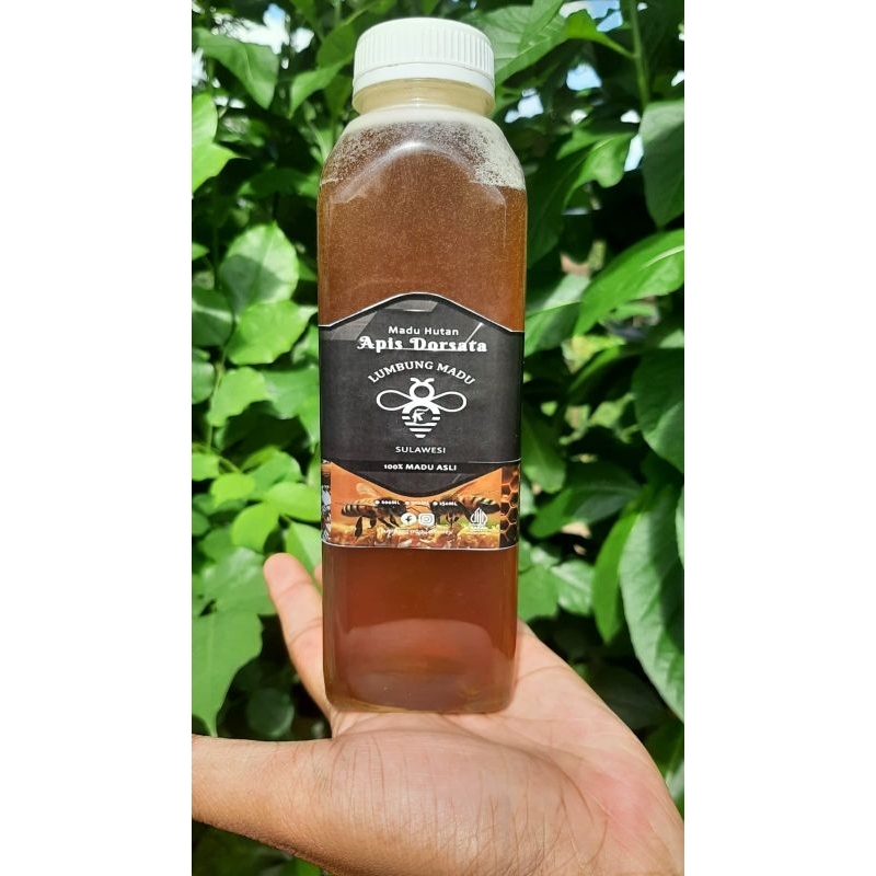 Jual Madu hutan sulawesi asli dan murni (500ml) | Shopee Indonesia