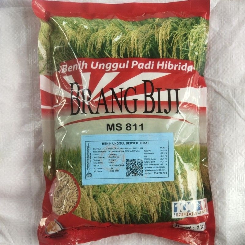 Jual BENIH PADI UNGGUL HIBRIDA CAP BRANG BIJI MS 811 KEMASAN 1 KG BISA ...