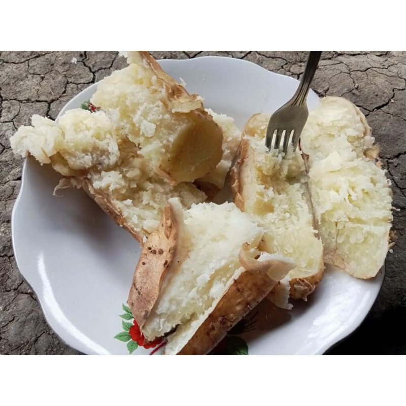 Jual Mbili / ubi gembili fresh mentah 1kg ( beli 10kg bonus 1kg ...