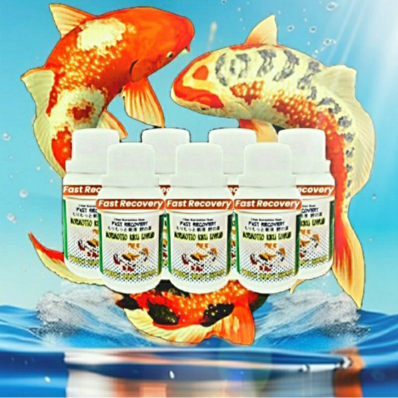 Jual OBAT IKAN INFEKSI BAKTERI PENYAKIT PERUT BUNCIT/POTBELLY | FORMULA ...