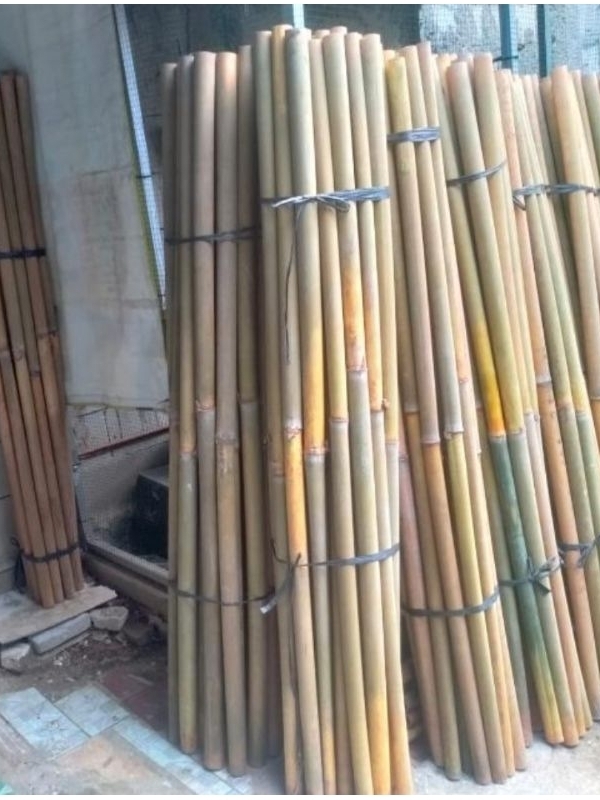 Jual bambu suling/tamiang /3 batang | Shopee Indonesia