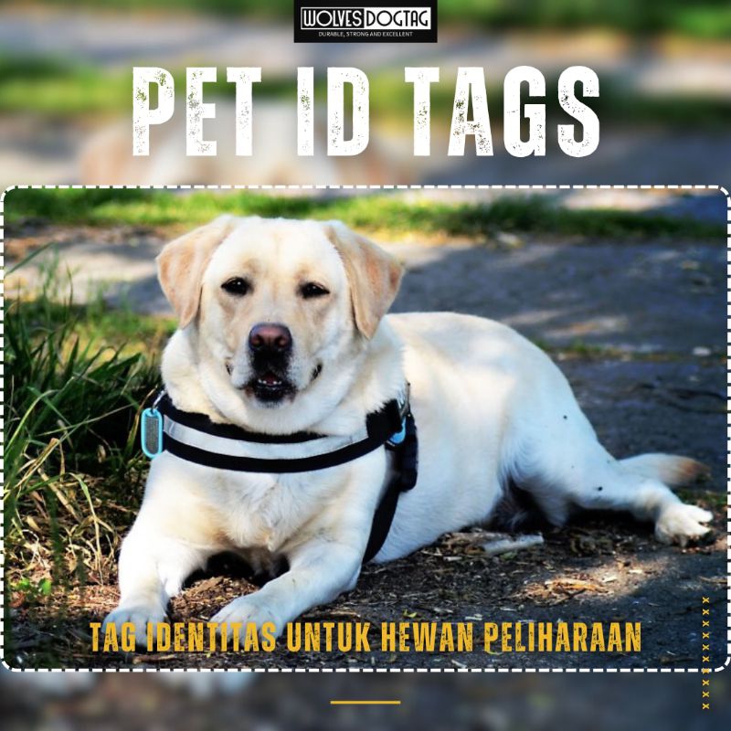 Jual Custom Dog Tag / pet id tags / Identitas hewan / Name Tag untuk ...
