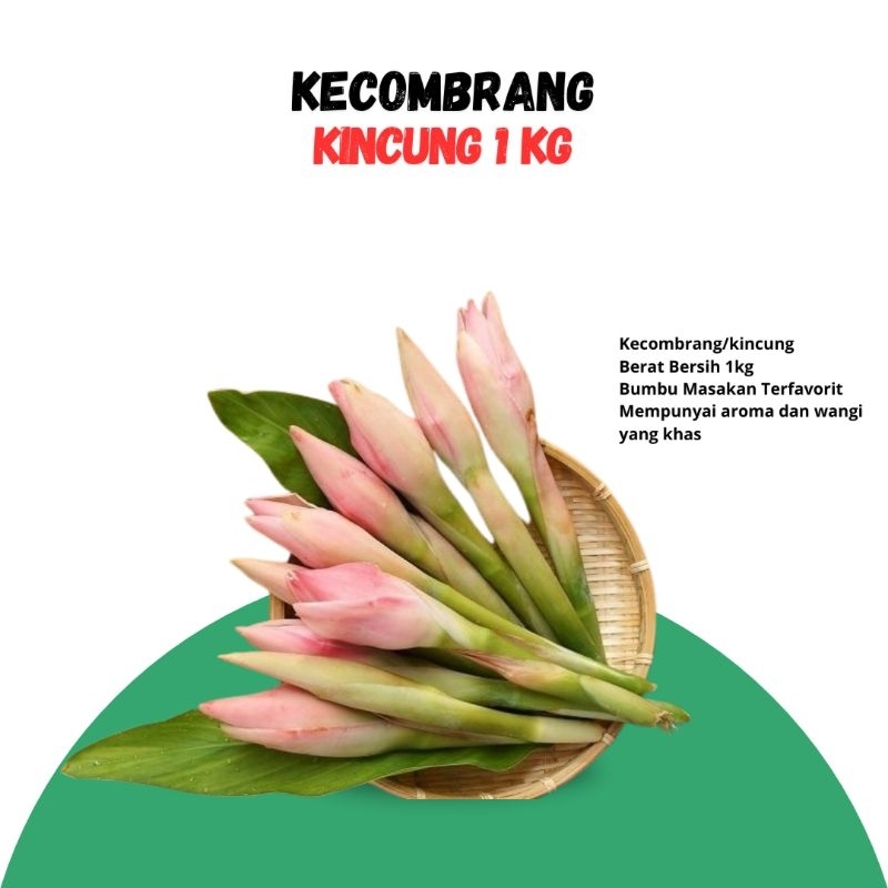 Jual Kincung / Kecombrang / Onje Premium 1kg | Shopee Indonesia
