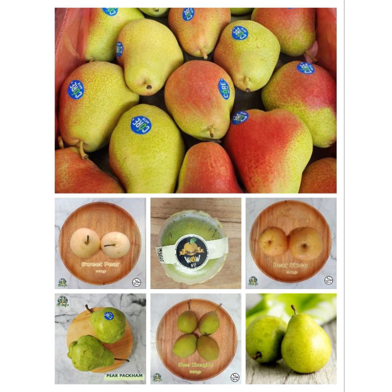 Jual Pir Madu Sweet Pear Manis | Pear Sinco Singo | Pear Xianglie ...