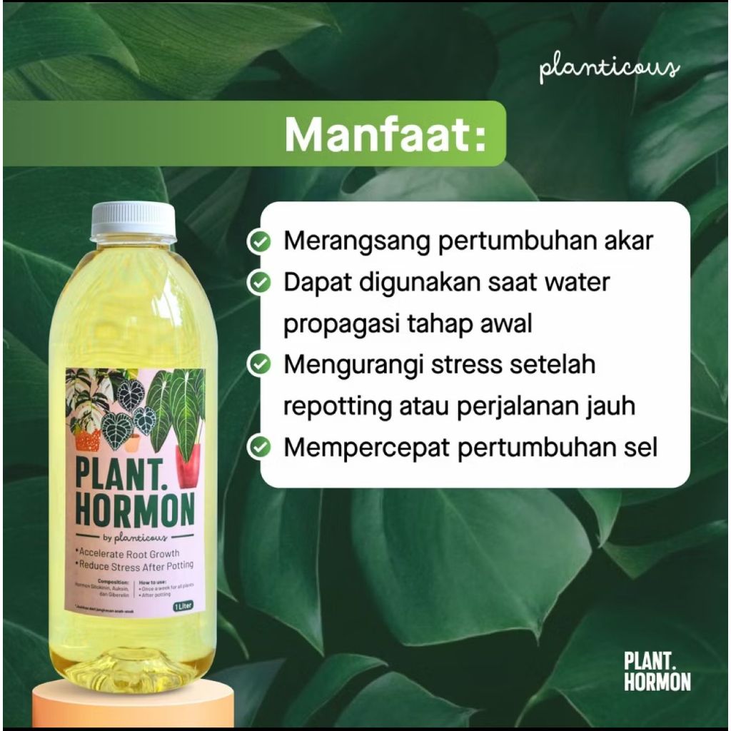 Jual Plant Hormon Hormon Tanaman 1 Liter | Shopee Indonesia