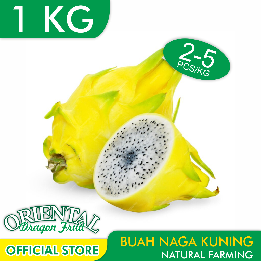 Jual Buah Naga Kuning Oriental - Natural Farming | Shopee Indonesia