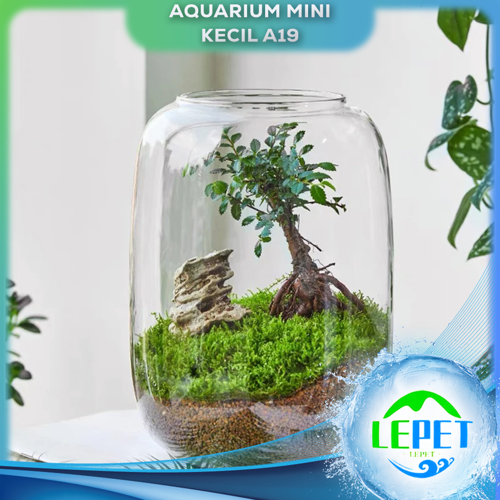 Jual LEPET AQUARIUM MINI KECIL A19 / AKUARIUM IKAN CUPANG HIAS / KURA ...