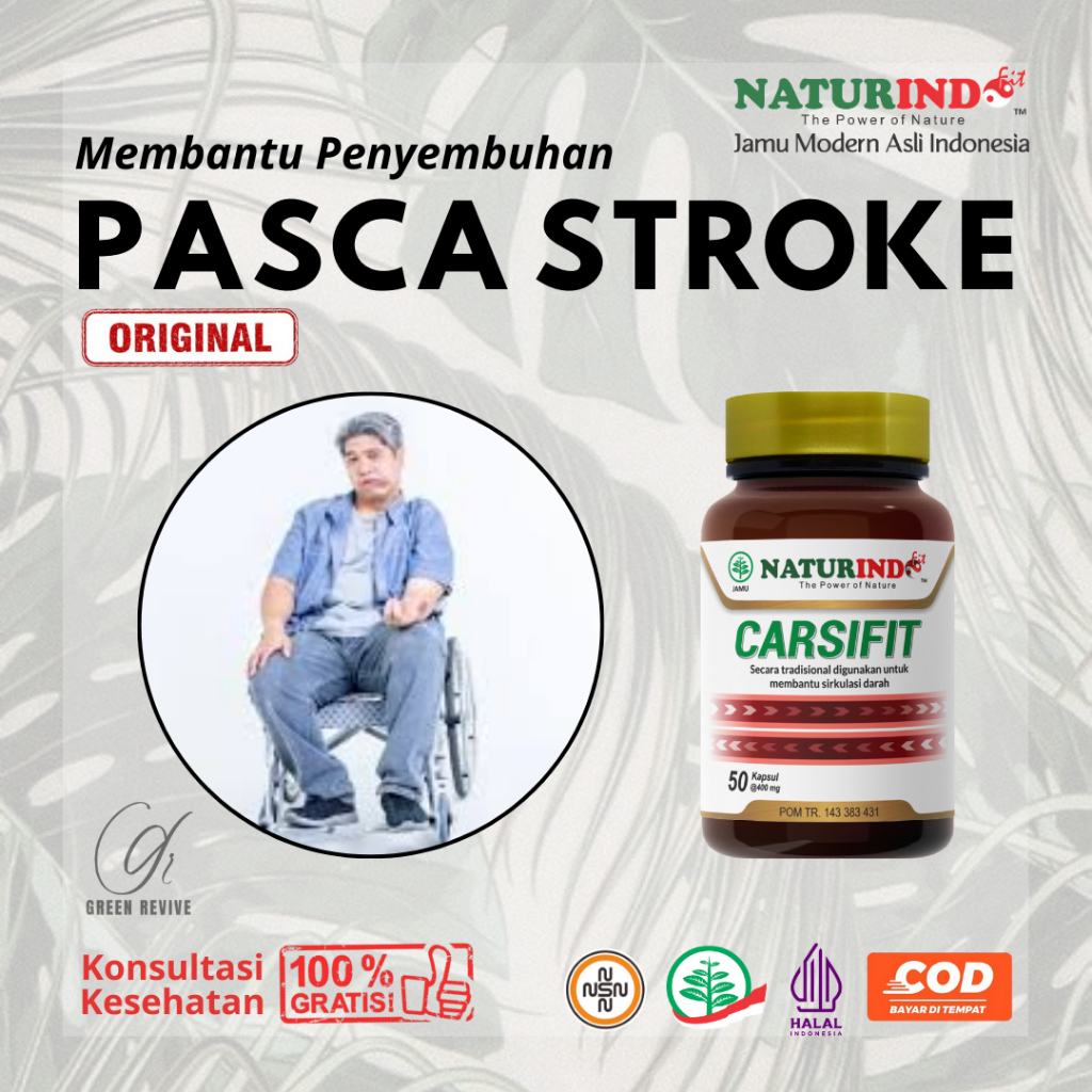 Jual Obat Stroke Ampuh Obat Struk Stroke Ringan Strok Menahun Lumpuh ...