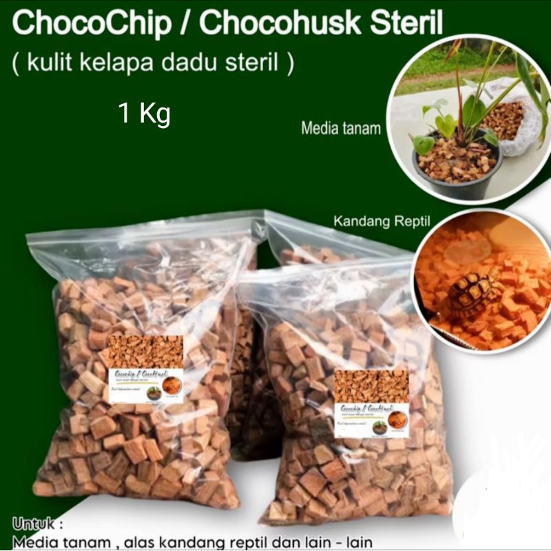 Jual Cocohusk Cocochip 1 Kg Media Tanam, Alas Substrat Kandang Reptil ...