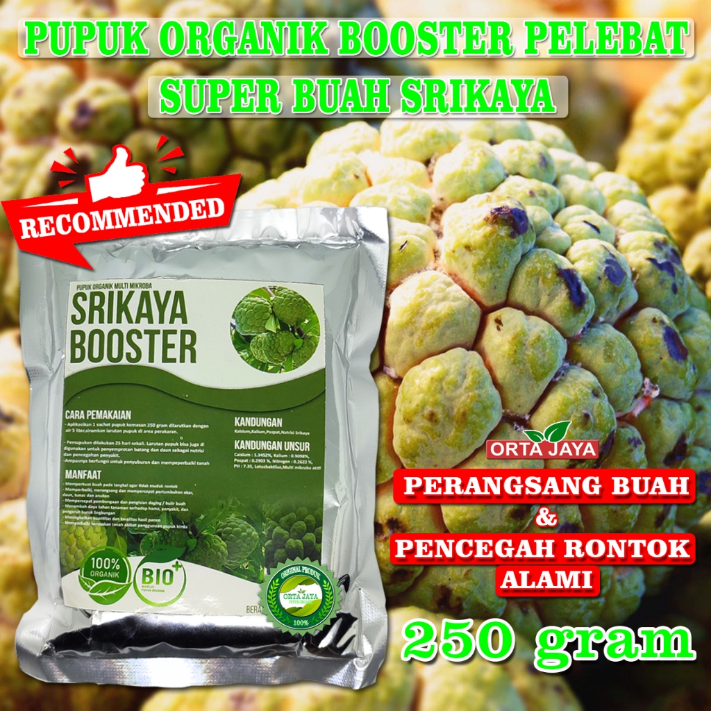Jual Pupuk Organik Booster Buah Sirkaya Perangsang Pelebat Buah Sirkaya Cepat Berbuah Lebat dan ...