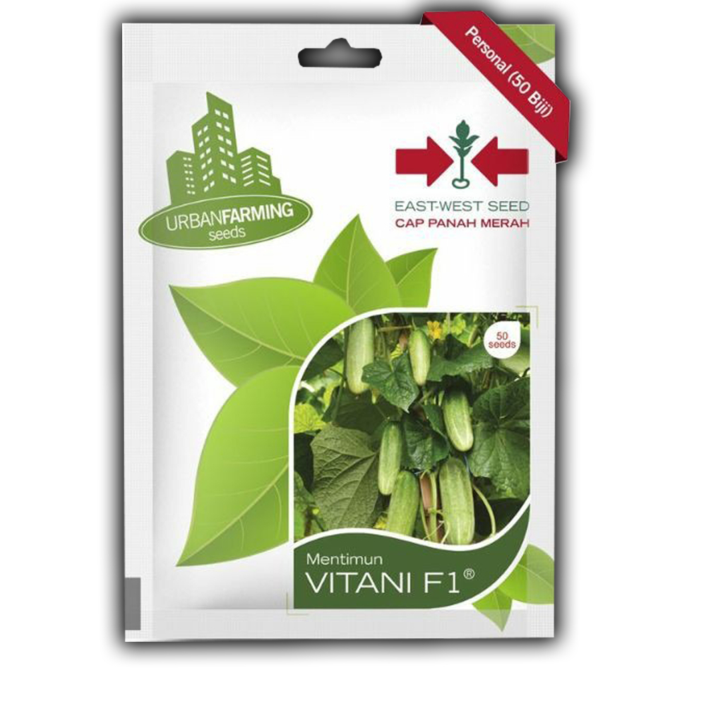 Jual Bibit Timun Hibrida | Shopee Indonesia